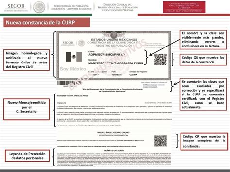 Así Luce El Nuevo Formato Del Curp En México Ahora Incluye Códigos Qr