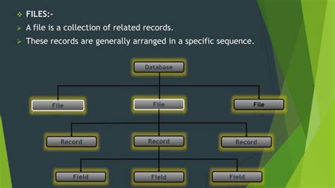Basic Of Database Ppt Newpptx Basic Of Database Ppt Newpptx