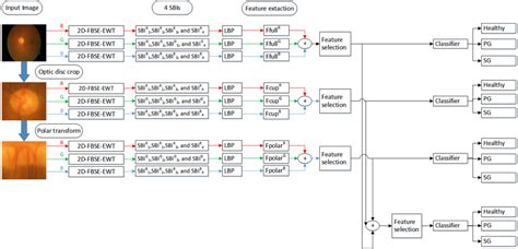 Framework For Diagnosis Of Pg And Sg Download Scientific Diagram