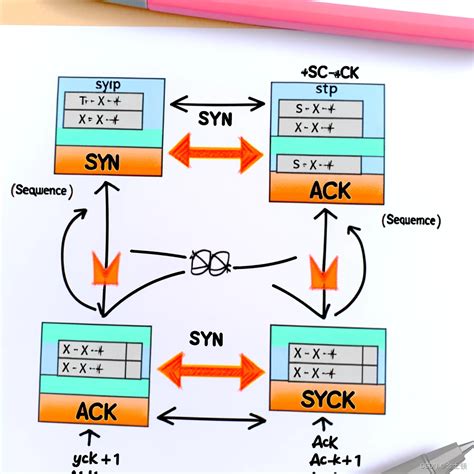 深入理解tcp：序列号、确认号和自动ack的艺术