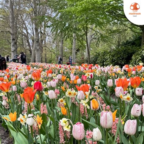 คอนเฟิร์มออกเดินทาง ว่างอีก 3 ที่สุดท้าย 💥 ใครลังเลอยู่ ต้องรีบจองแล้วน้า