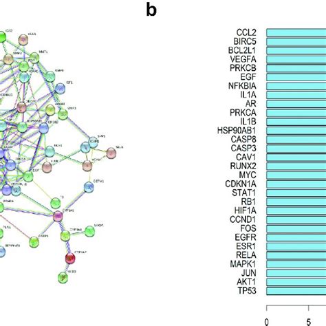 Ppi Network Construction Download Scientific Diagram