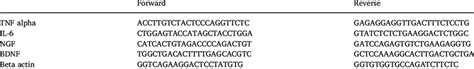 Primer Sequences For Real Time Pcr Amplification Download Scientific