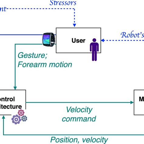 Architecture Of The Proposed System A Smartwatch Is Used To Implement Download Scientific