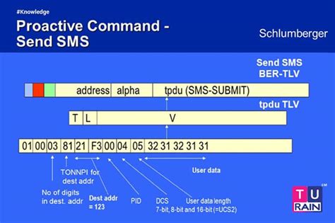 Smpp Tlv Optional Parameters Turain Software Pvt Ltd