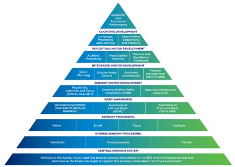 The Pyramid Of Learning The Natural Path To High Quality Learning Verita International Babe