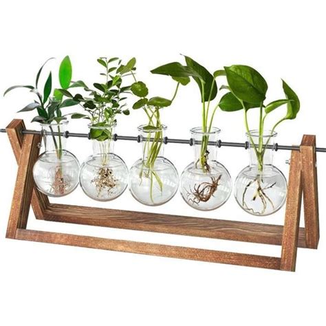 Station De Propagation Vase En Verre Vintage Terrarium Pour Plantes Hydroponique Tube À Essai