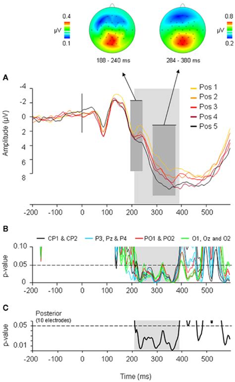 Event Related Potential ERP Results And Correlation Analyses Of The Download Scientific