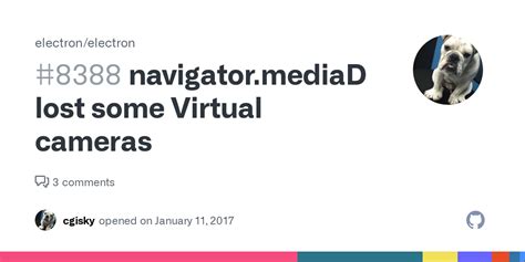 Navigator Mediadevices Enumeratedevices Lost Some Virtual Cameras · Issue 8388 · Electron