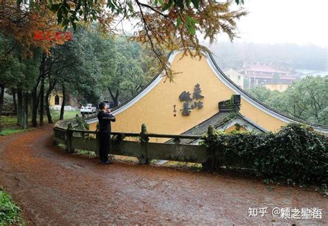 宁波第九条黄金古道漫山遍野金钱松禅意弥漫 知乎