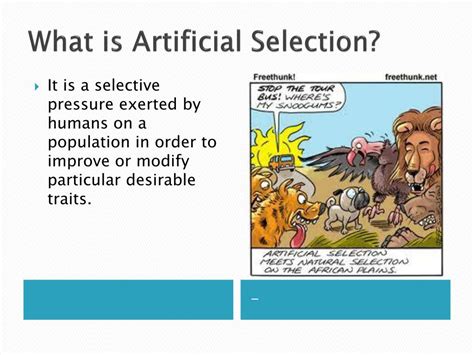 Ppt Artificial Selection Powerpoint Presentation Free Download Id