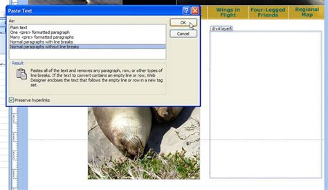 web expression quickstart guide