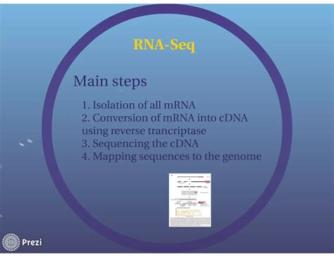 Normalization Of Rna Seq Gene Expression Data Pdf