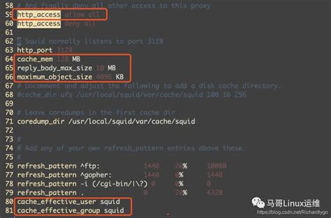 Linux系统通过squid配置实现正向代理上网squid代理 Csdn博客