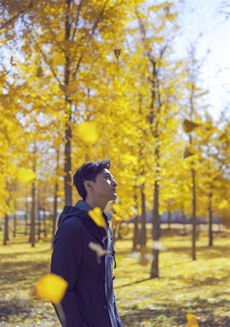 胡歌 高清图片，堆糖，美图壁纸兴趣社区