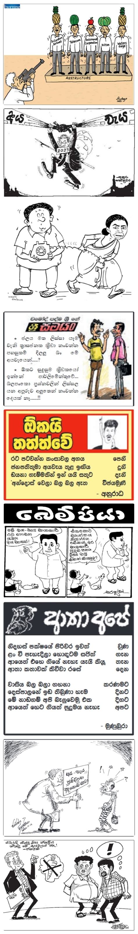 එදා කැරට් අද කංසා බදාදා කාටූන්