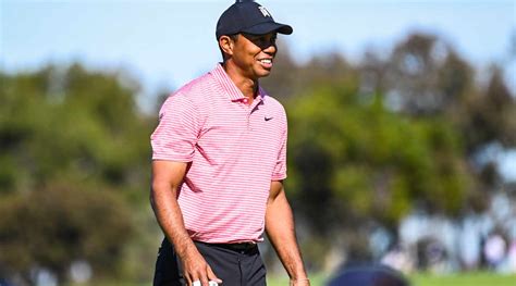 Tiger Woods Pink Nike Shirt Cheap Off 76 Isci