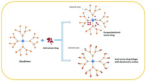 The Structure And Application Of Dendrimers In Drug Encapsulation And