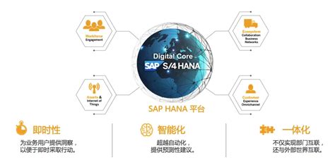 S4 Hana 概览 Sap Hana有哪些模块 Csdn博客