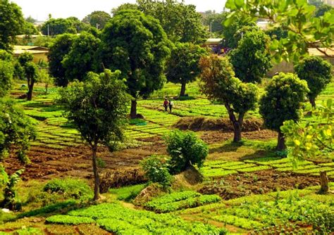 Faculty Of Science And Engineering University Of Groningen On Linkedin Fsegroningen