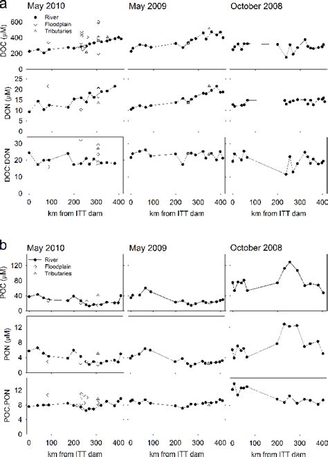 A Concentrations Of Doc And Don And Molar Docdon Ratio B Download Scientific Diagram