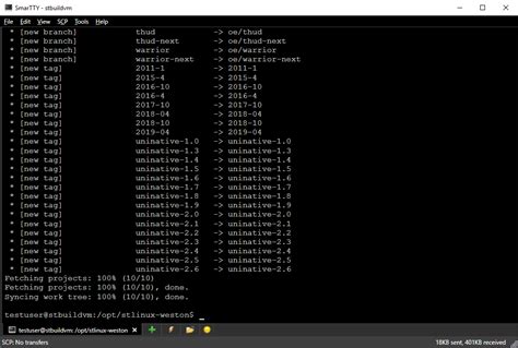 Building An Openstlinux Sdk For Stm32mp1 Devices Visualgdb Tutorials