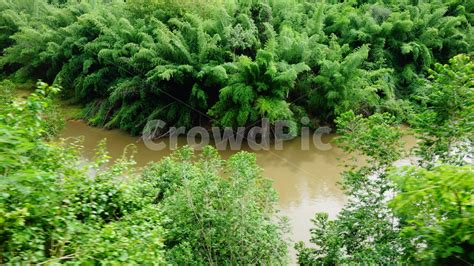 태국 풍경 강 물 자연 사진 이미지 일러스트 캘리그라피 일상으로의초대작가
