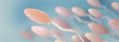 Semen Analysis Metro Ivf Fertility Centre