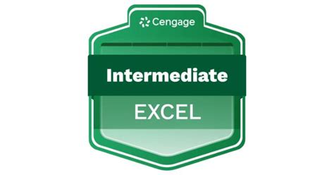 pavankumar chamarthi on linkedin microsoft excel intermediate badge pavan kumar chamarthi