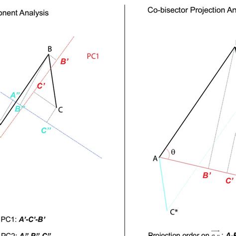Difference Between PCA And Time Ordered Linear Model Vector AB Download Scientific Diagram