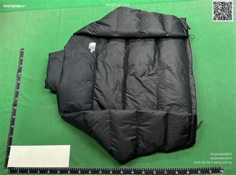 Tnf Puffer Big Dongle 370rmb Pandabuy Rweidianwarriors