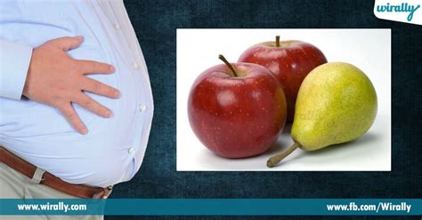 Foods That Help Reduce Belly Fat Wirally