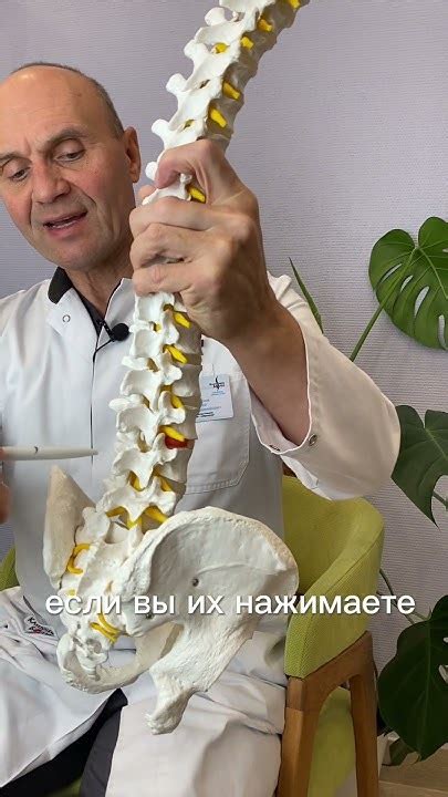 Болит позвоночник или мышцы вокруг него диагностика доктор медицина боль массаж лечение