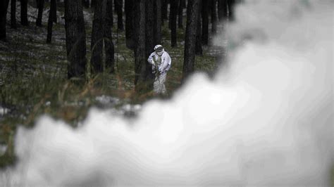 Ukraine Accuses Russia Of Killing Surrendering Soldiers World News