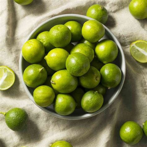 Jual Jeruk Nipis 1 Kg Shopee Indonesia