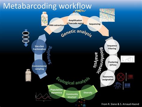 Metabarcoding A Tool To Accelerate Biodiversity Assessments Ppt