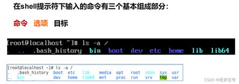 [linux]管理文件基本操作