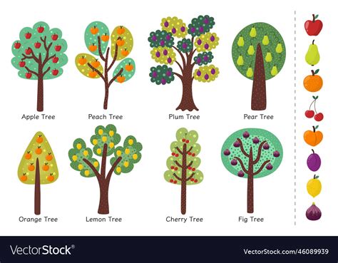Doodle Fruit Trees Collection Different Trees Set Vector Image