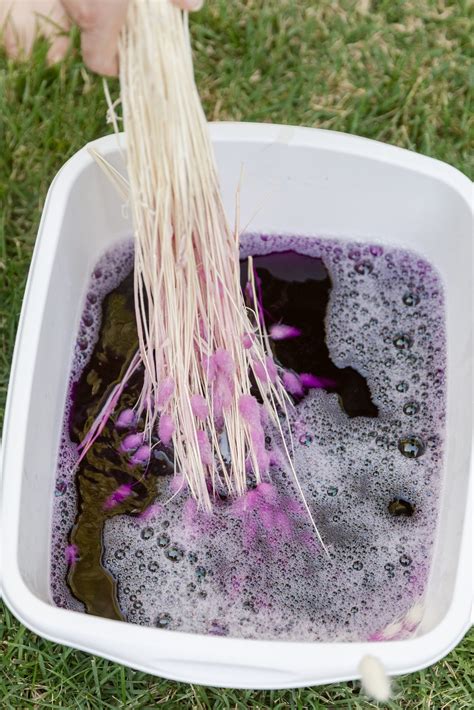 How To Dye Pampas Grass And Dried Floral Stems Using Rit Dye 16