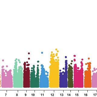 Sex Chromosome Identification By Genome Wide Scanning Genomic Regions