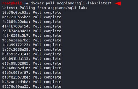 Web Application Pentest Lab Setup On Docker Secnhack