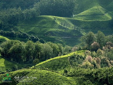 Nepal Darjeeling Puri Tour 15456 Holiday Packages To Kathmandu Darjeeling Puri