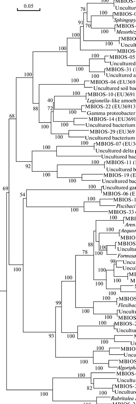 phylogenetic placement of 16s rdna sequences from the metagenomic download scientific diagram