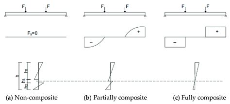 Distribution Of Shear Force And Strain Download Scientific Diagram