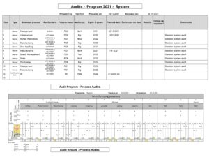 The Audit Program Quality In The Automotive Industry