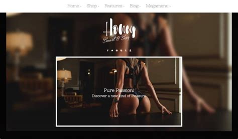 Best Adult Webcam Software Solutions Adult Blog