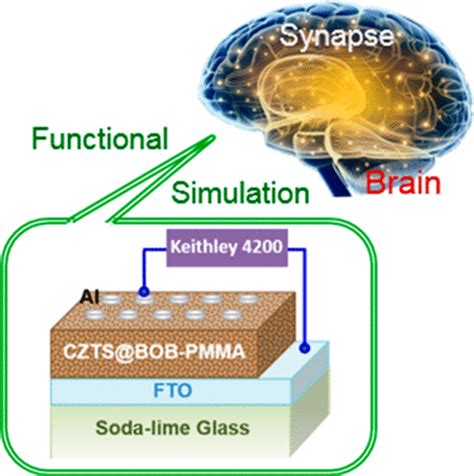 Optoelectronic Memristive Synapse Behavior For The Architecture Of Cu2znsns4biobr Embedded In