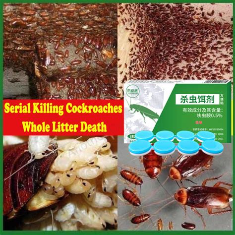 8pcs Box Cockroach Killer Bait Effective Cockroach Medicine Powerful Killing Cockroach Baits