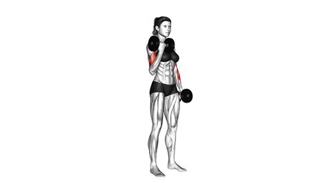 Female Dumbbell Alternate Biceps Curl Video Guide Tips Artofit