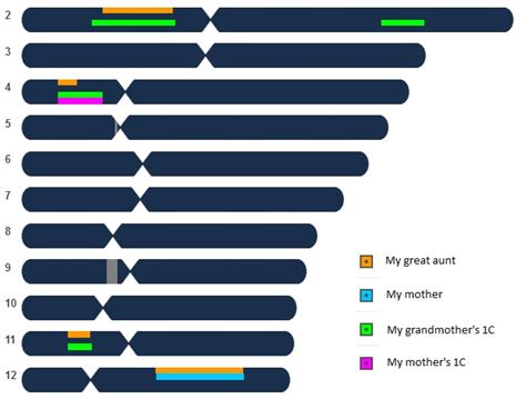 Laras Jewnealogy Dna And Naming Patterns Find Another Fuchs Branch I